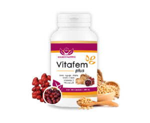 VITAFEM PLUS - Laboratorios GILSAN